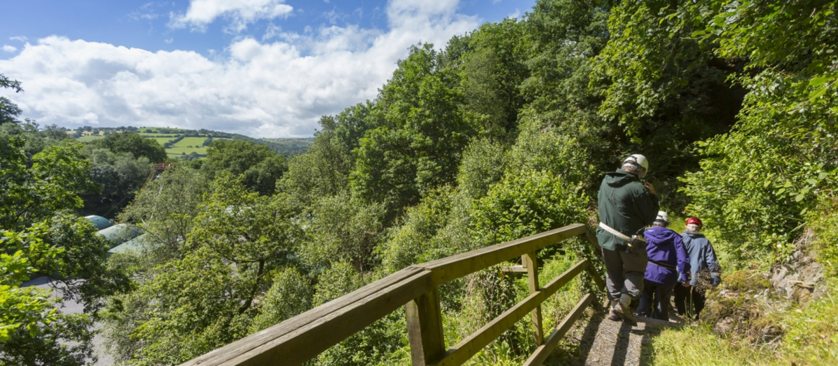 Buy Dolaucothi - Admissions - Tours Tickets online - National Trust