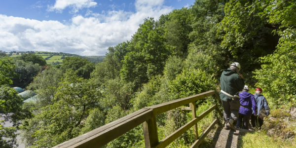 Buy Dolaucothi Gold Mines - Admissions - Tours Tickets online ...