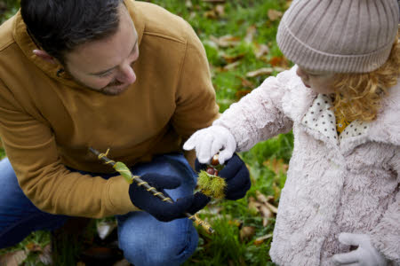Buy Nature Tots 2026 Tickets online - National Trust