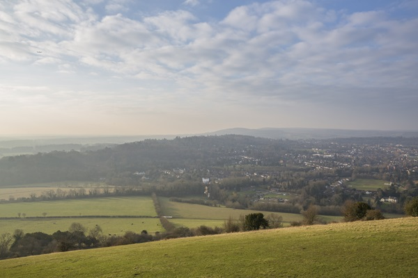 Buy Box Hill Guided Hike Tickets online - National Trust