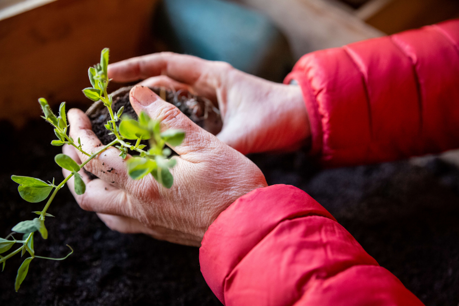 Buy Balcony Basics - Elizabeth House Community Centre - 16 May, 10.30am ...