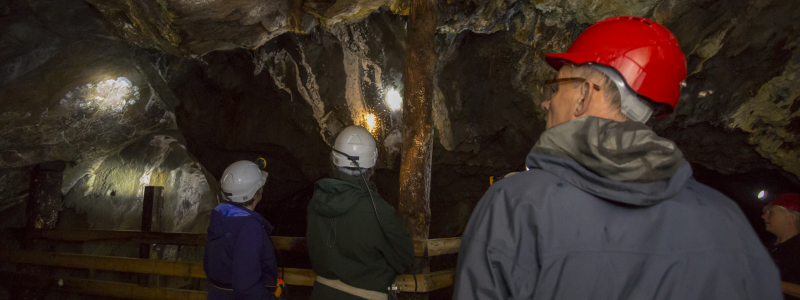 Buy Dolaucothi Gold Mines - Admissions - Tours Tickets online ...