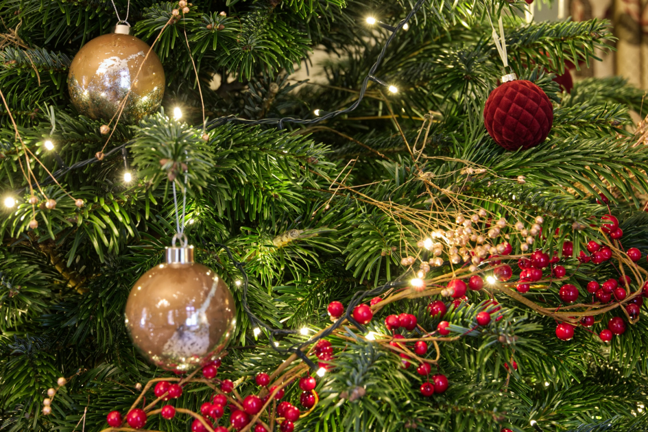 Buy Behind the scenes | Christmas at Sunnycroft Tickets online ...