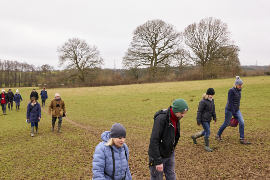 Buy Stedham Woodland Walk at Woolbeding Tickets online - National Trust