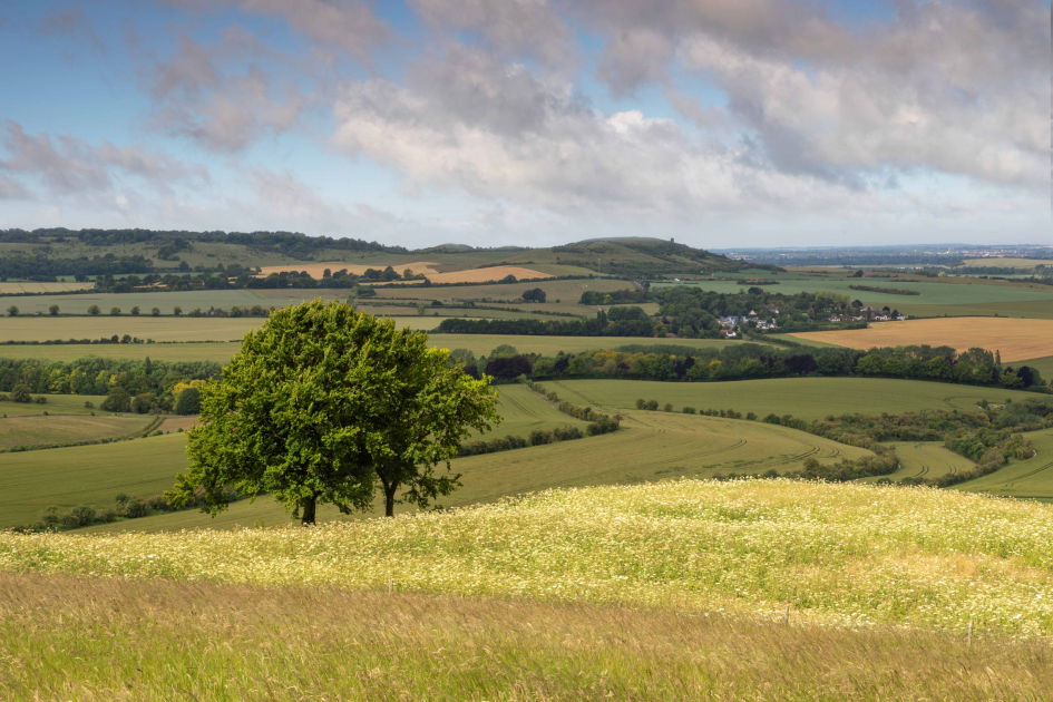Buy May Half Term - Guided walks for National Walking Month Tickets ...